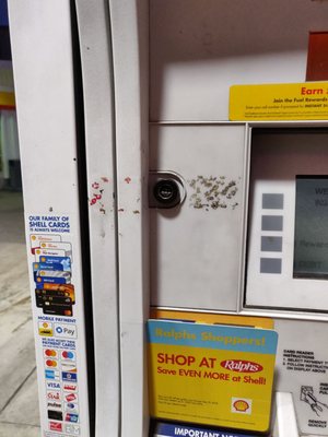 SHELL GAS STATION - Updated August 2025 - 17 Photos & 39 Reviews - 200 ...