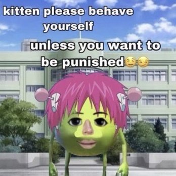 POLLOS A LA BRASA EL CHALAN - Updated August 2025 - 43 Photos & 63 ...