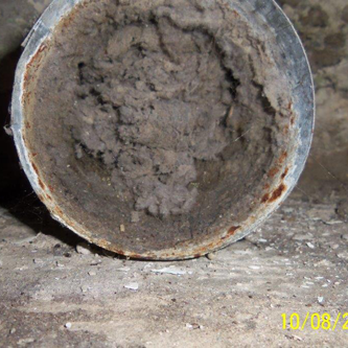 Healthy living air duct cleaning store