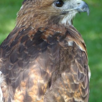 MITCHELL MEMORIAL FOREST - Updated November 2025 - 78 Photos & 10 ...