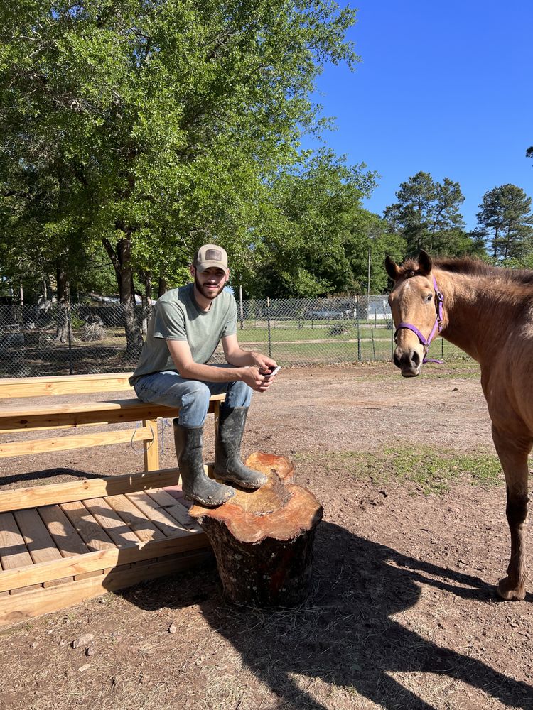 THE MANE THING - Updated June 2025 - Spring, Texas - Life Coach - Phone ...