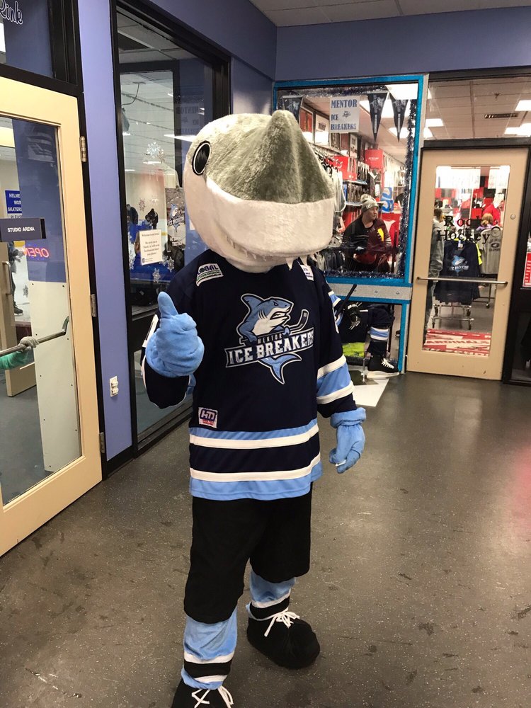 MENTOR CIVIC ICE ARENA - 28 Photos - 8600 Civic Center Blvd, Mentor ...