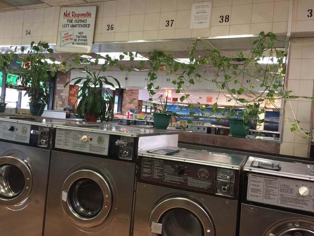 QUEEN BEE LAUNDROMAT INC - Updated December 2025 - 19 Reviews - 4378 ...