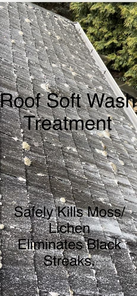 MSM SURFACE PRO - Updated May 2024 - 50 Photos - Mount Sinai, New York ...