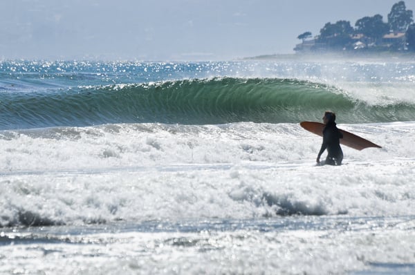 SANTA BARBARA SEALS SURF SCHOOL - Updated July 2025 - 16 Photos - 10 ...