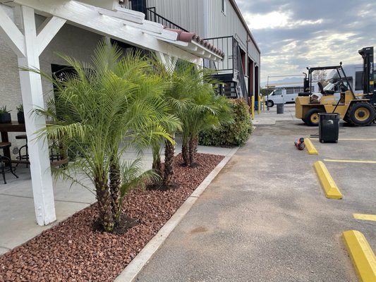 STAR NURSERY - Updated September 2025 - 199 Photos & 148 Reviews - 2600 ...