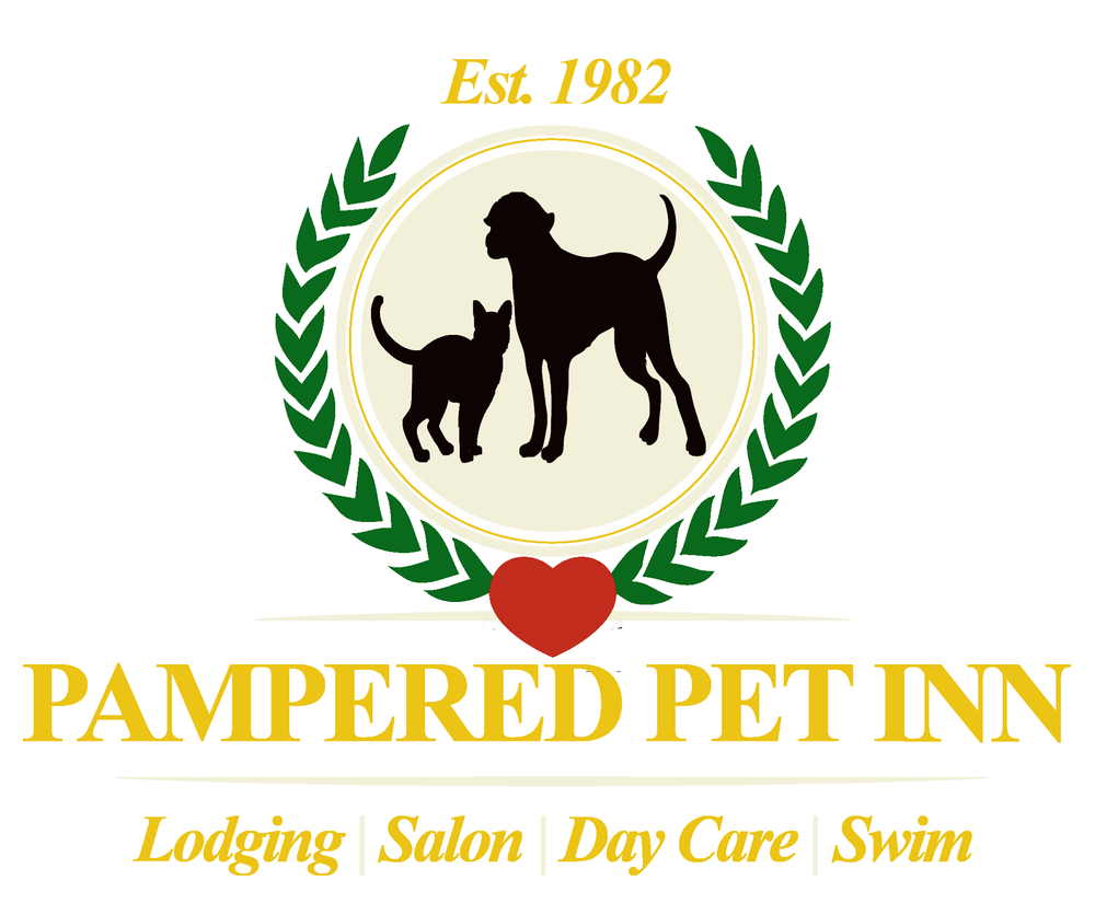 PAMPERED PET INN - Updated May 2024 - 85 Photos & 56 Reviews - 2411 ...