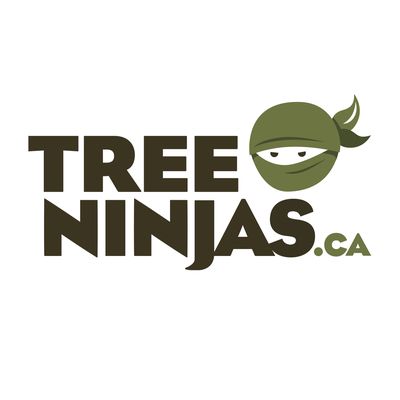 TREE NINJAS - Updated November 2025 - 13 Photos - Grande Pointe ...