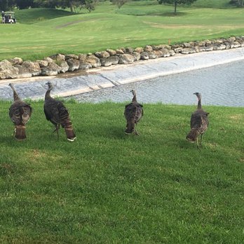 MAKANI GOLF CLUB - Updated December 2025 - 112 Photos & 44 Reviews - 71 ...