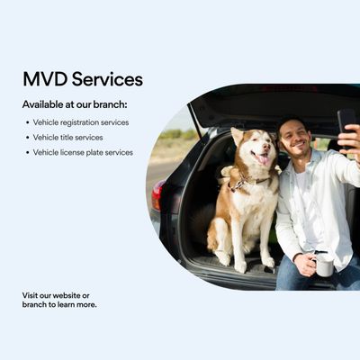 AAA MESA BRANCH - Updated October 2025 - 26 Photos & 117 Reviews - 4126 ...