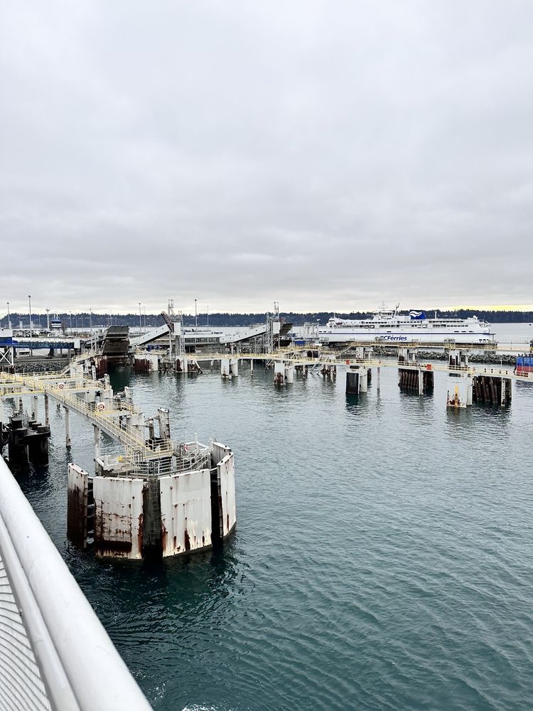 BC FERRIES - 364 Photos & 142 Reviews - 1 Ferry Causeway, Delta ...