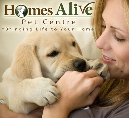 HOMES ALIVE PET - Updated January 2026 - 910 3 Ave S, Lethbridge ...