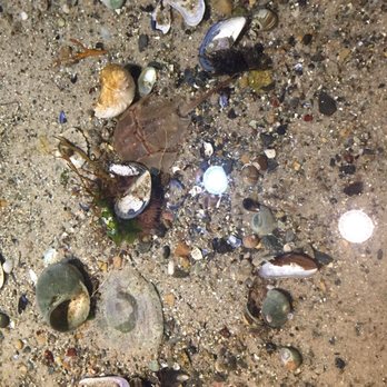 CAPE COD MUSEUM OF NATURAL HISTORY - Updated July 2024 - 41 Photos & 40 ...