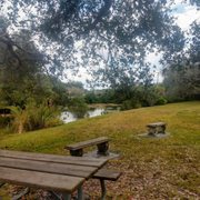 LONG KEY NATURAL AREA & NATURE CENTER - 296 Photos & 29 Reviews - Parks ...