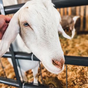 EL MATATAN THE FINEST FUSION OF LATIN CUISINE - Updated December 2025 ...