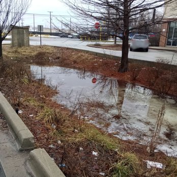 HOLSTEN MANAGEMENT - 1020 W Montrose Ave, Chicago, Illinois - Property ...