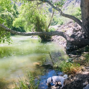 AZUSA RIVER WILDERNESS PARK - 51 Photos & 13 Reviews - 100 Old San ...