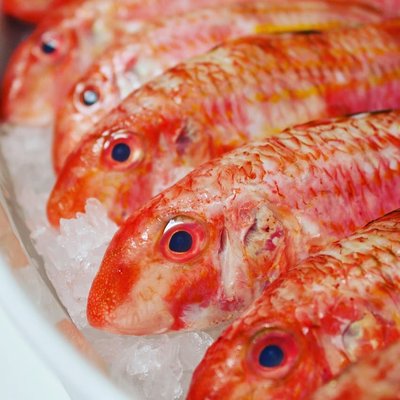 UNIVERSAL SEAFOOD - Updated October 2025 - 25 Photos & 34 Reviews ...