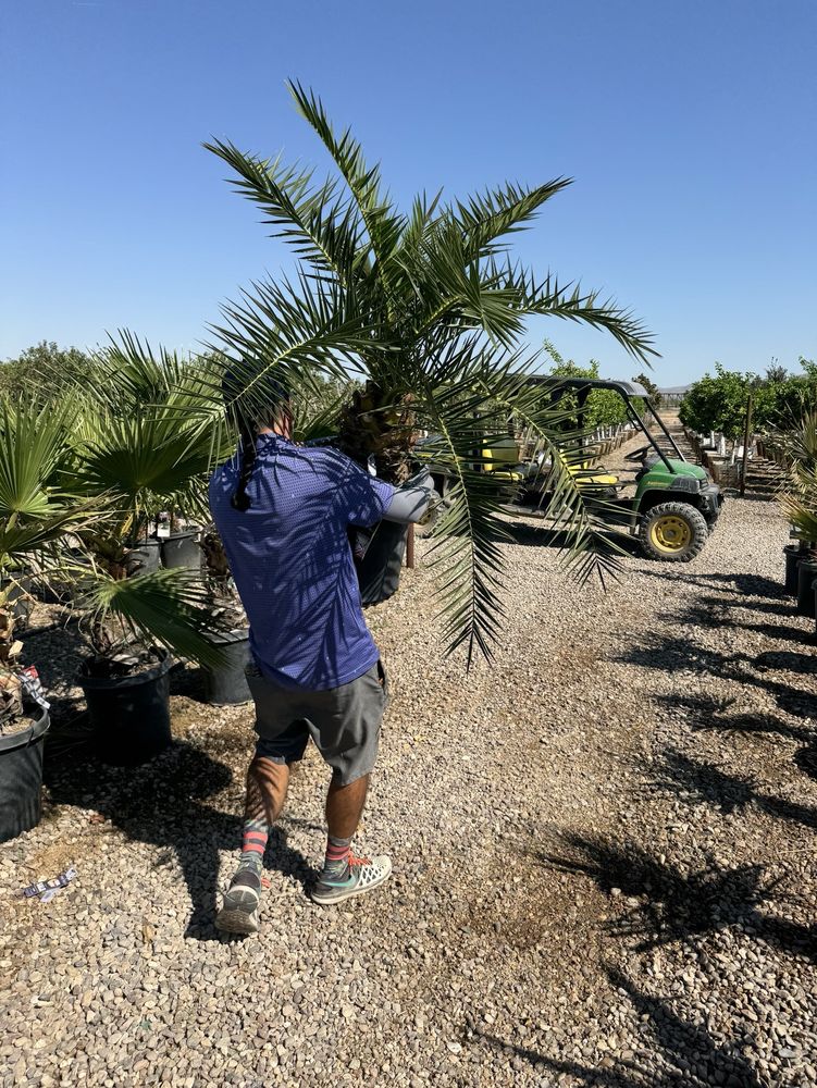 MOON VALLEY NURSERIES - Updated December 2024 - 110 Photos & 28 Reviews - 13300 N Postvale Rd ...