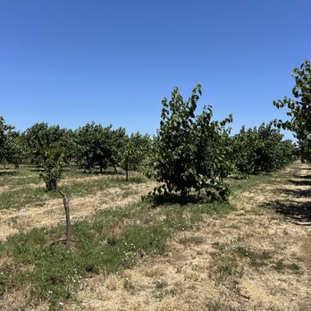 VERY MULBERRY - Updated May 2025 - 214 Photos & 41 Reviews - 501 ...