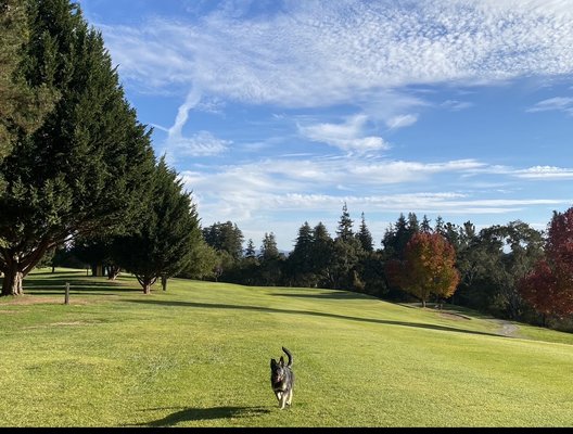 SPRING HILLS GOLF COURSE - Updated June 2024 - 20 Reviews - 31 Smith Rd ...