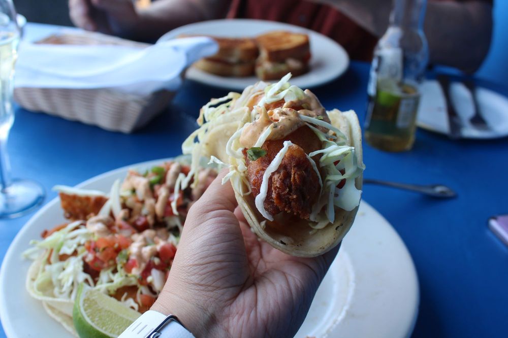 THE POINT RESTAURANT - 412 Photos & 386 Reviews - 120 Marina Dr, Rio ...