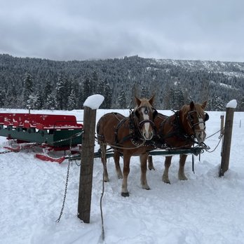ICICLE OUTFITTERS & GUIDES/LEAVENWORTH SLEIGH RIDES - Updated December ...