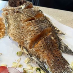 MARISCOS EL JATO JR - Updated December 2025 - 483 Photos & 556 Reviews ...