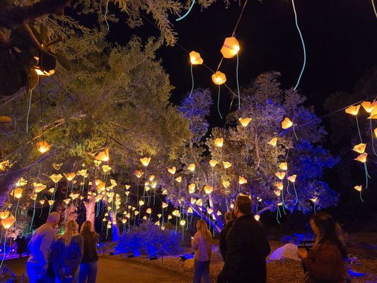 LIGHTSCAPE SAN DIEGO - Updated October 2025 - 250 Photos & 59 Reviews ...