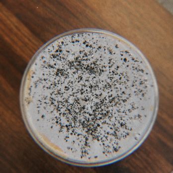 ABBA COFFEE ROASTERS - Updated September 2024 - 68 Photos & 46 Reviews ...