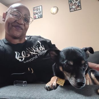 HALO ANIMAL RESCUE - Updated September 2025 - 97 Photos & 175 Reviews ...