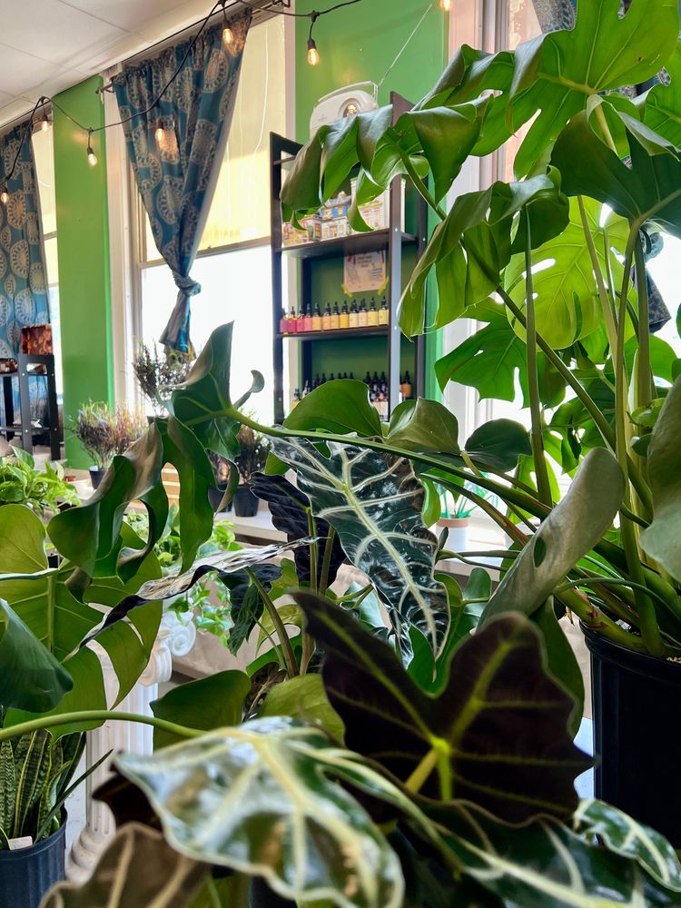 WICKSY - Updated August 2025 - 13 Photos - 10 Miranda St, Morrow, Ohio ...