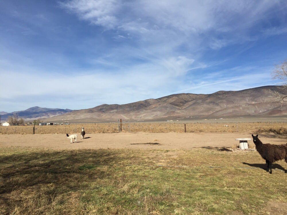 MODEL FARM KENNELS - Updated December 2025 - 5000 Amy Rd, Reno, Nevada ...