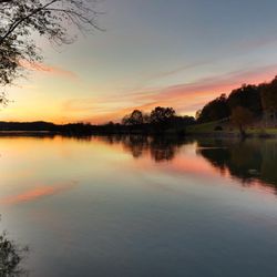 Beech Springs, TN - 2021 - Yelp