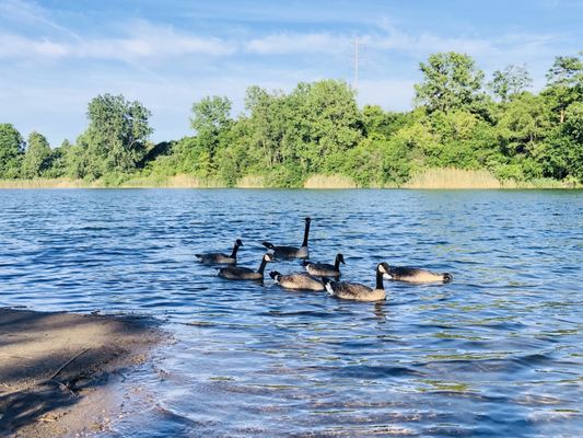 LILLIE PARK - Updated June 2024 - 51 Photos & 13 Reviews - 4200 Platt ...