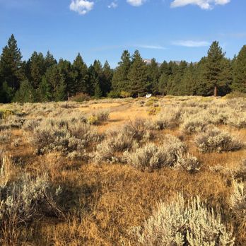 CALLAHAN PARK - Updated October 2025 - 76 Photos & 12 Reviews - 15960 ...