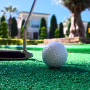 SYNTHETIC TURF SYSTEMS - Updated June 2024 - 68 Photos - 221 E Willis ...