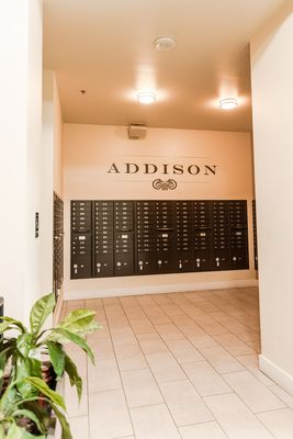 ADDISON ON FOURTH APARTMENTS - Updated May 2024 - 119 Photos - 308 ...