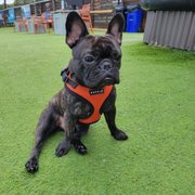 FETCH PARK - 268 Photos & 177 Reviews - 520 Daniel St SE, Atlanta, GA ...