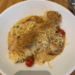 PACCI ITALIAN KITCHEN & BAR - Updated July 2025 - 275 Photos & 335 ...