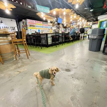 ANGLESEA ALEWORKS - Updated January 2026 - 31 Photos & 19 Reviews ...