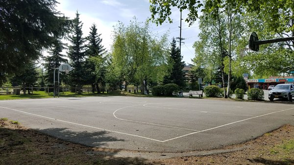 SPRINGER PARK - Updated July 2025 - 3809 Arctic Blvd, Anchorage, Alaska ...