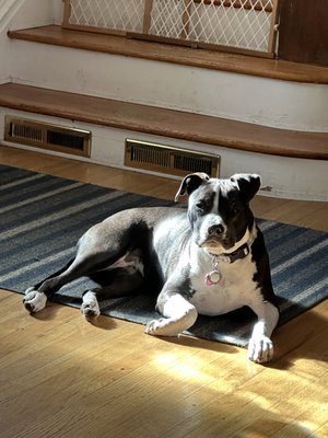 CARE STL - Updated January 2026 - 41 Photos & 15 Reviews - 2700 Walnut ...