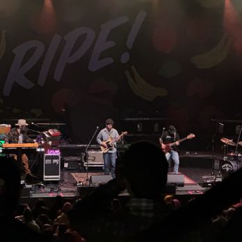 ROADRUNNER - Updated September 2024 - 59 Photos & 64 Reviews - 89 Guest ...