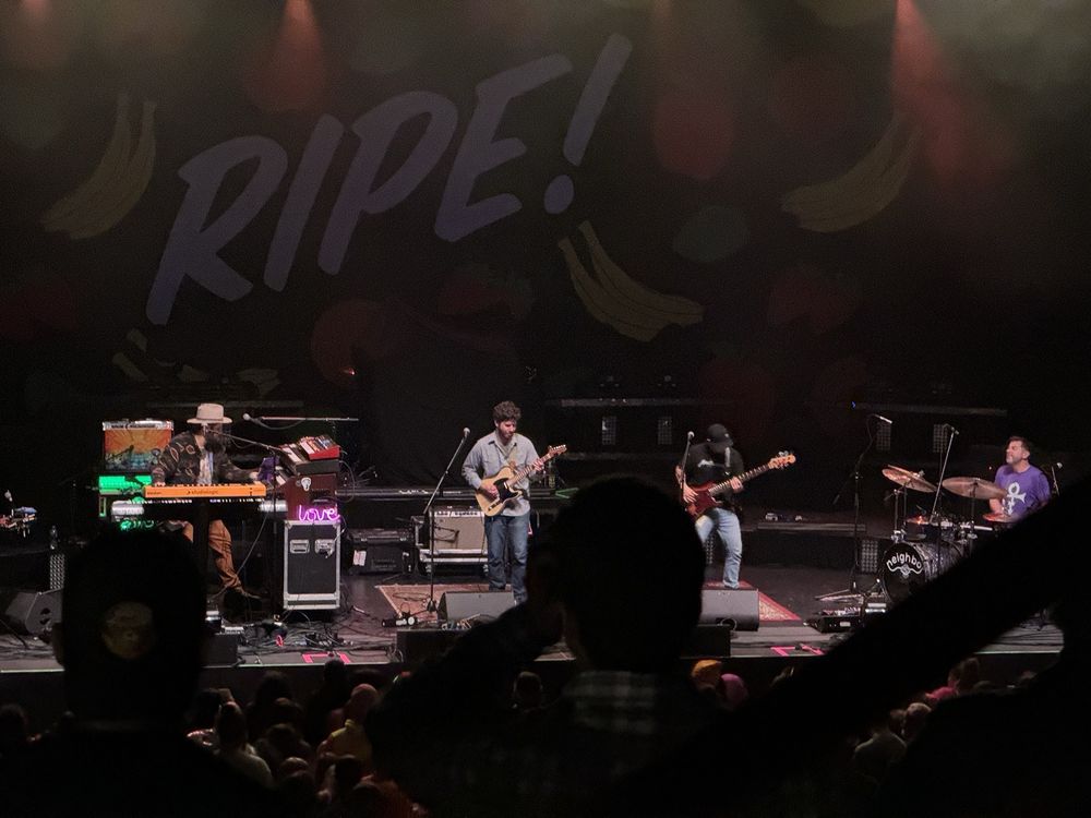 ROADRUNNER - Updated December 2025 - 81 Photos & 85 Reviews - 89 Guest ...