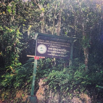 GUAJATACA FOREST - Updated January 2025 - Bosque Estancia del Guajataca ...