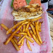 O’SHUCKS! OYSTER BAR AND GRILL - 154 Photos & 212 Reviews - 1016 S Main ...