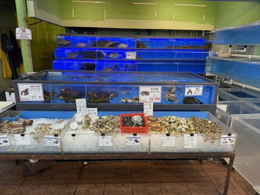 IFRESH MARKET - Updated January 2026 - 413 Photos & 147 Reviews - 2415 ...