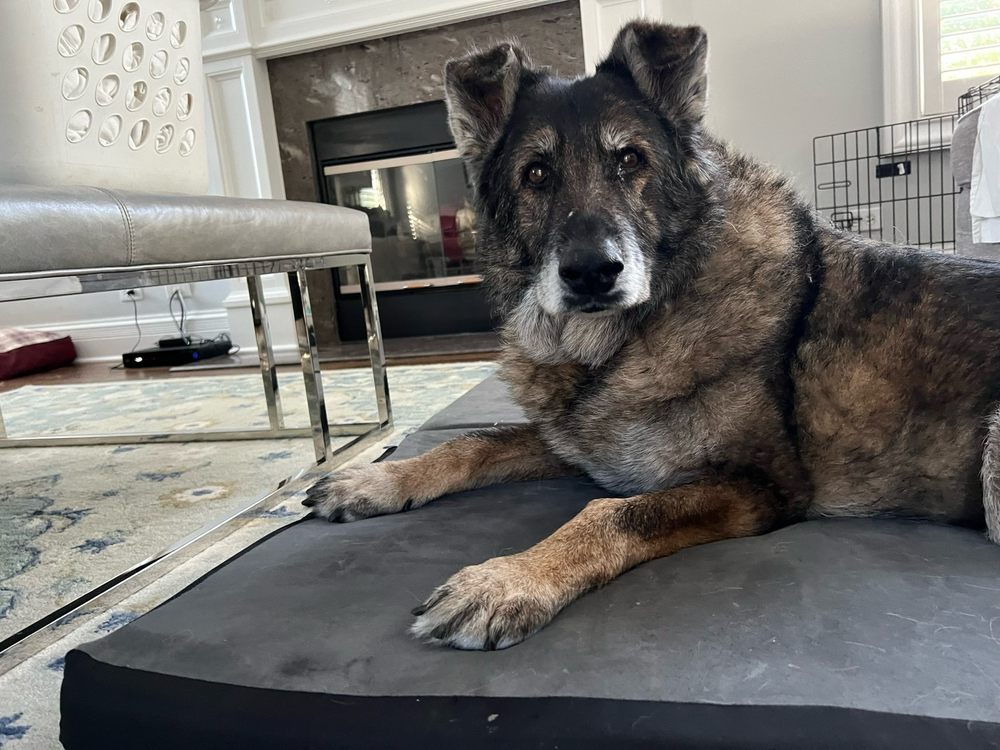 WAYNE SIMANOVICH EMMANUEL - Updated January 2026 - 2618 Emmanuel Church ...