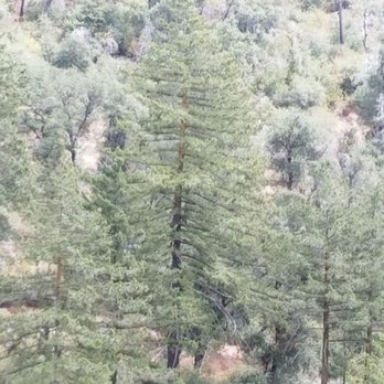 HARRISON SERENITY RANCH - Updated October 2025 - 65 Photos - 18187 Nate ...